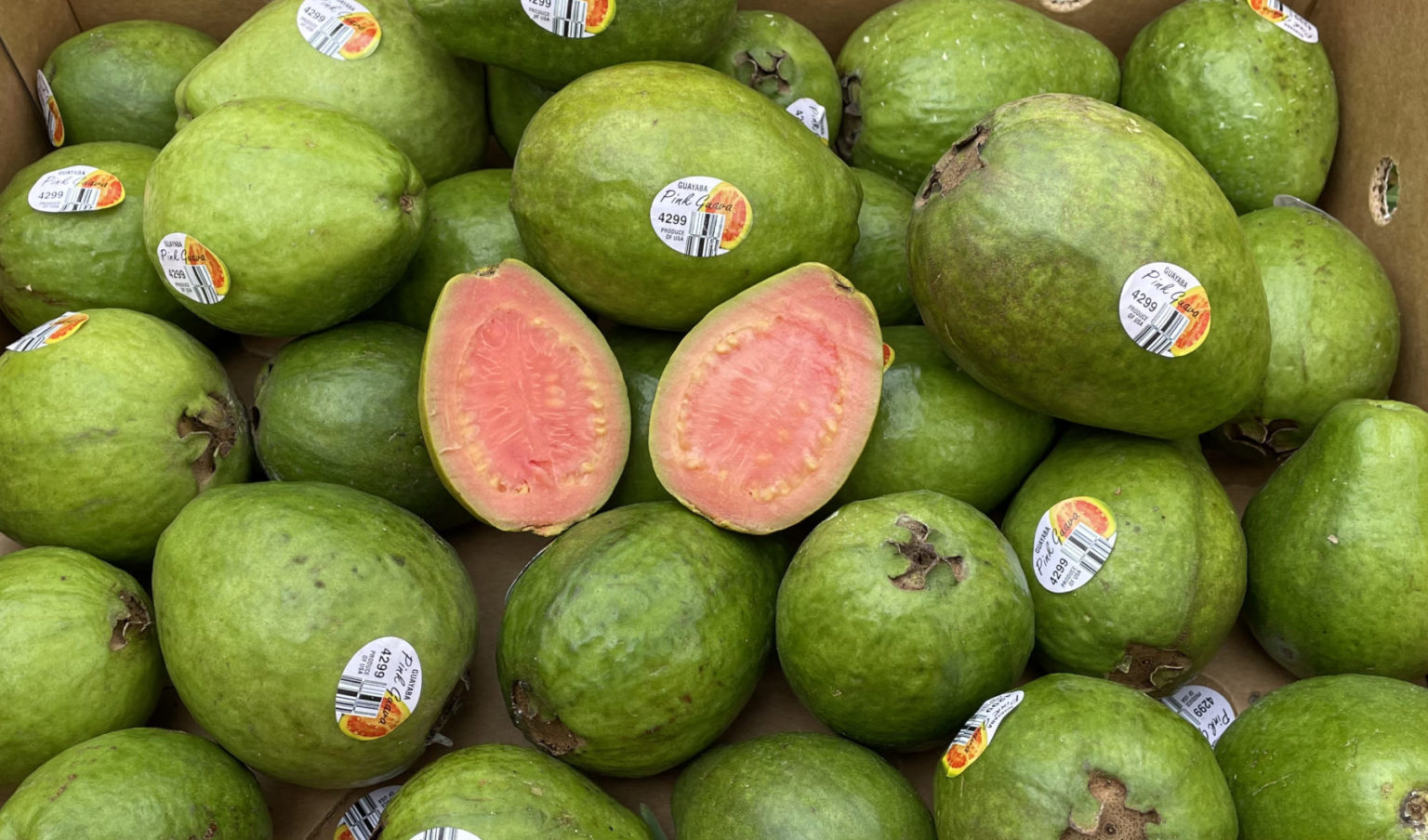 Guava Consumer Info - HLB Tropical
